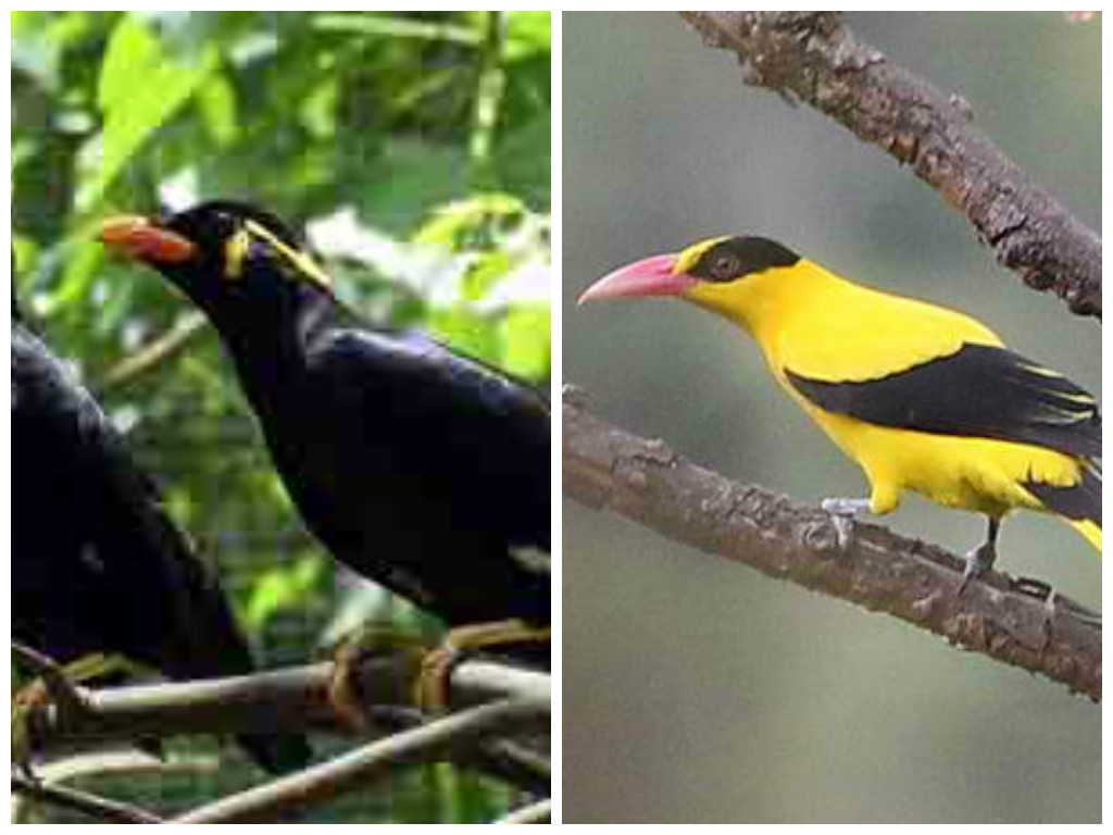 [Puerto Princesa] ~ From Wonder to Wander | I am no travel planner.